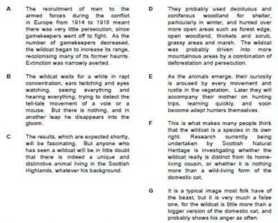 Cambridge C1 Advanced (CAE): Reading and Use of English Part 7 ...